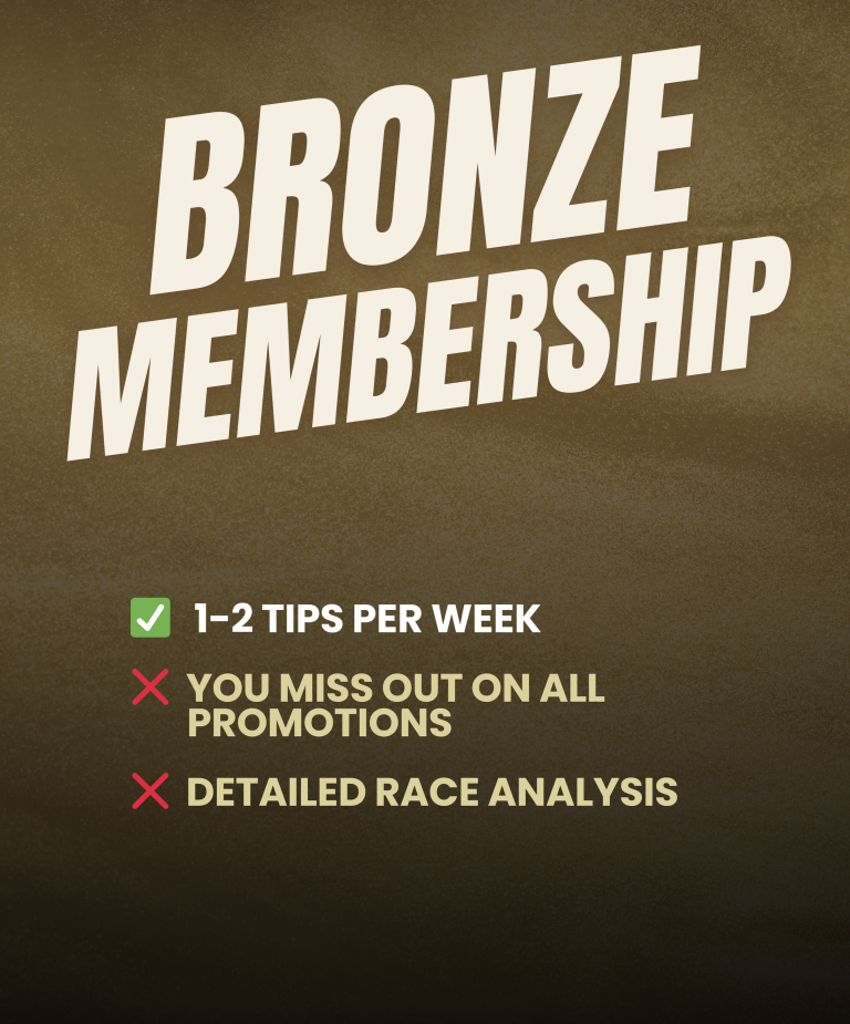 Mr Racing – The Future Of Racing